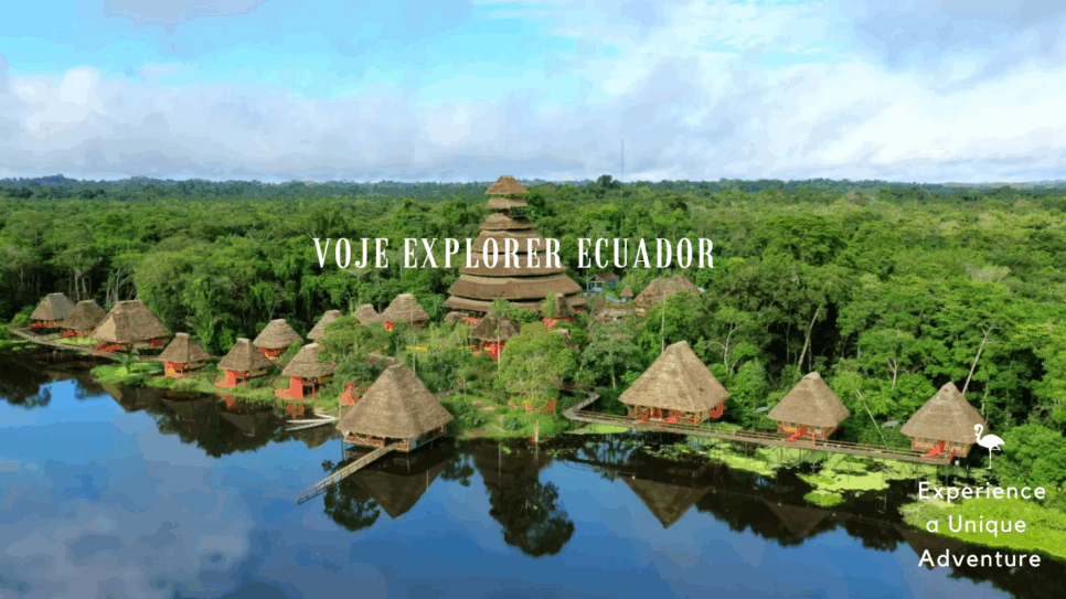 VOJE EXPLORER ECUADOR – Descubre Ecuador